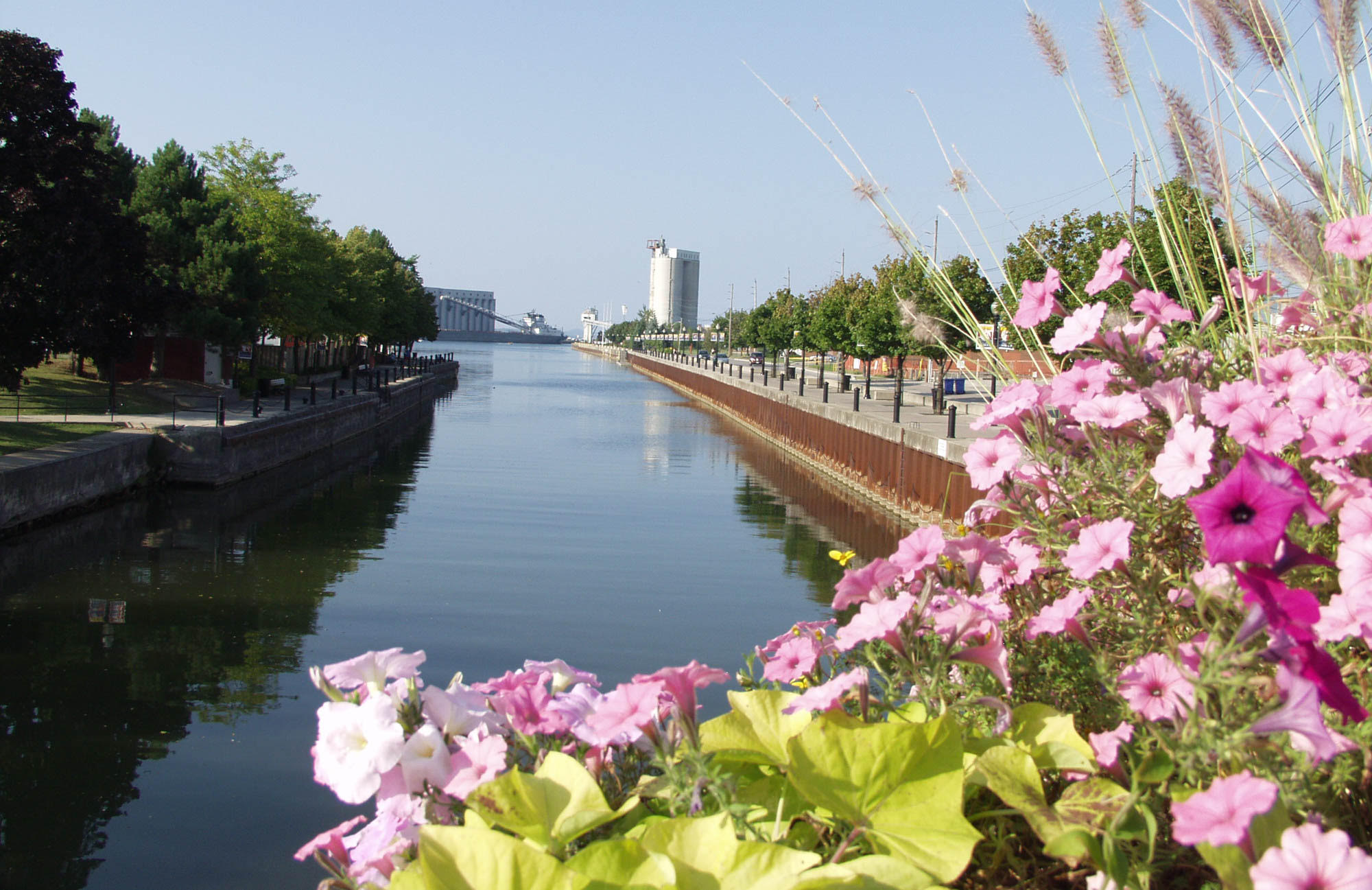 owen sound harbour - Riverside West Dental Centre